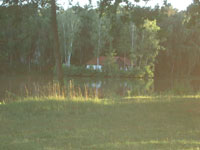 Nacktbaden am Eichensee in Langenzenn-Burggrafenhof - FKK in Bayern